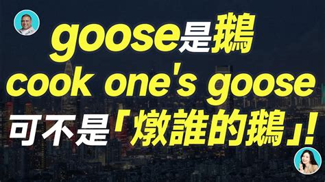 Goose是鵝，cook Ones Goose可不是「燉誰的鵝」！ Youtube
