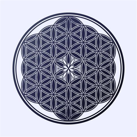 Flower Of Life Intersecting Circles Forming Stock Illustration Illustration Of Life
