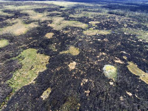 Cryospheric Sciences For Dummies How Do Wildfires Impact Permafrost [or A Story Of Ice