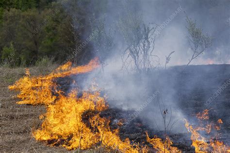 Prescribed Burn Stock Image C0438171 Science Photo Library