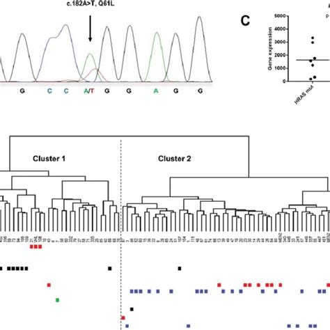 Genes With Altered Expression In Hras Mutated Tumors N 5 7 Compared