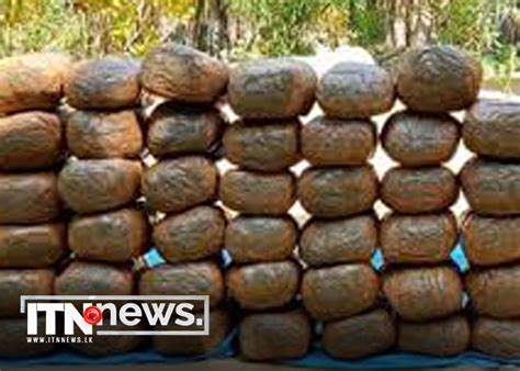 රුපියල් මිලියන 75 කට අධික කේරළ ගංජා තොගයක් යාපනේදී නාවික හමුදා භාරයට