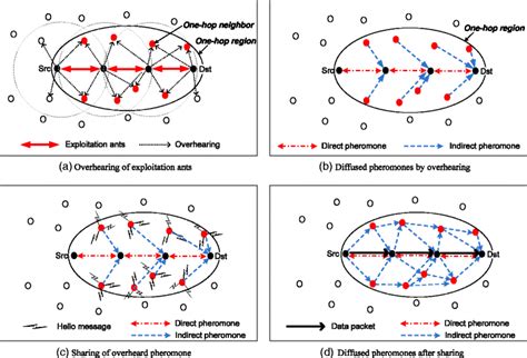 Operations Of Local Pheromone Diffusion Download Scientific Diagram