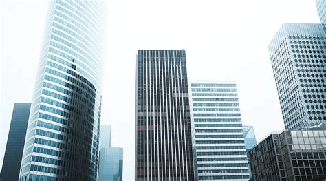 Citi Insights Interviews