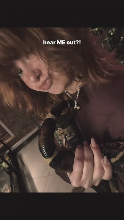 ⋆ ˚｡⋆୨ Panteric Fun ୧⋆ ˚｡⋆ Pantericfun • Instagram Photos And Videos