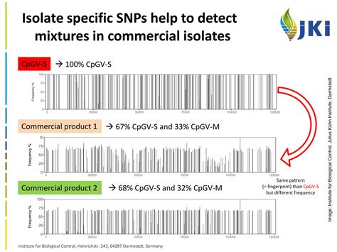 Use Of Next Generation Sequencing Techniques For Characterisation Of Baculoviruses Oecd