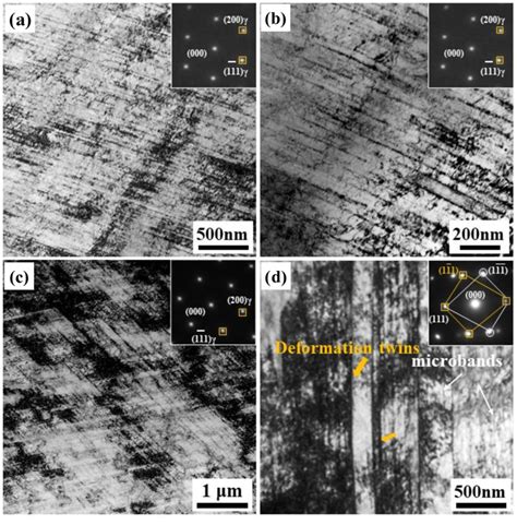 Microstructures Of The Designed Steel After Deformation At Different Download Scientific