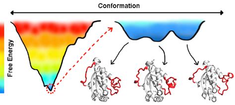 Schematic Representation Of Protein Folding And Ensemble Nature Of The Download Scientific