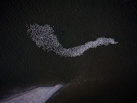 Rising Tide Photography By Ben Depp Pensacola Museum Of Art