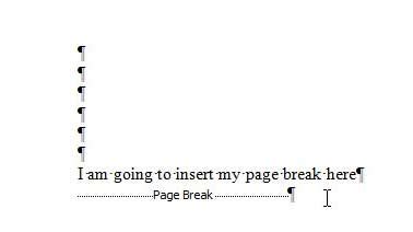 How To Insert A Page Break In Word 2010 Solve Your Tech