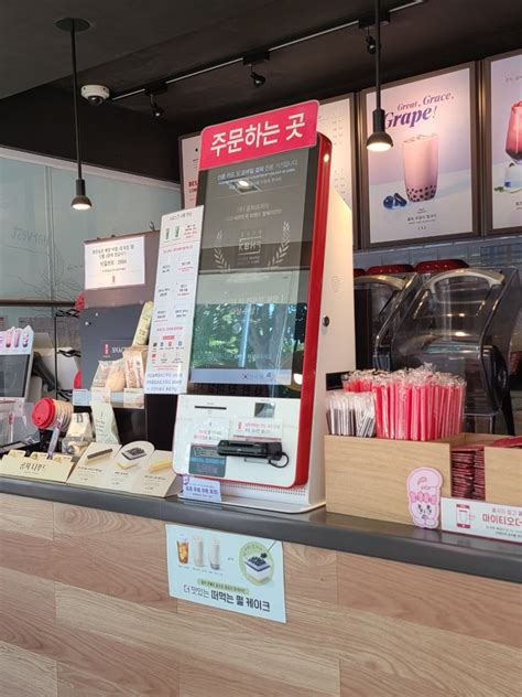 공차 메뉴 추천 하동 호지 밀크티펄 하동 호지 스무디 네이버 블로그