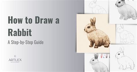 Draw Rabbit Easy Steps Sale Online