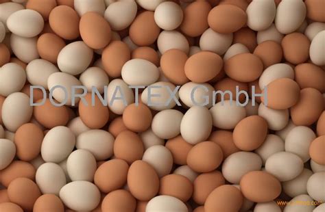 Farm Fresh Chicken Table Eggs Fertile Hatching Chicken Egg Broiler