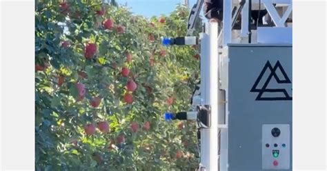 Apple Picking Robot In Action