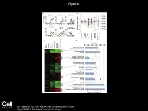 Volume 21 Issue 7 Pages November 2017 Ppt Download