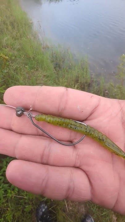 SeÑuelo Para Pescar Lobina Nature Fishing Bass Bassfishing