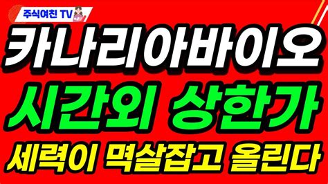 카나리아 바이오 주가전망 제가 말씀드린 그대로 입장문 발표 되었습니다 세력도 물렸습니다 주가 이 가격 찍고300