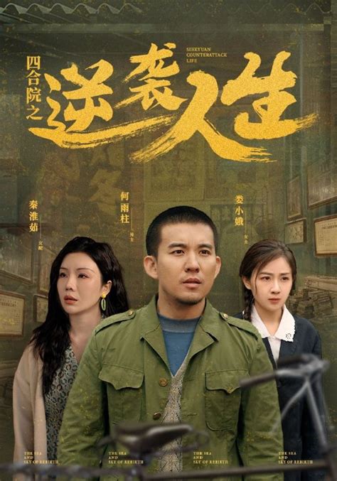 四合院之逆袭人生完整版免费观看 四合院之逆袭人生短剧全集免费在线观看 河马剧场
