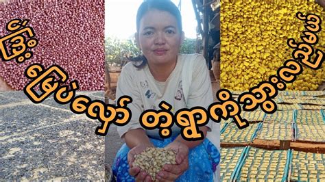 ပဲကြီးနဲ့မြေပဲလှော်တဲ့ရွာကိုသွားလည်မယ်ပဲကြီးလှော်မြေပဲလှော်