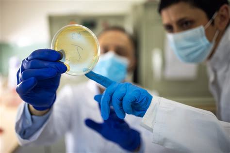 Antibiotic Resistance The Truth About Antibiotics In Food Production