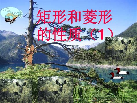 2231矩形菱形的性质1word文档在线阅读与下载无忧文档