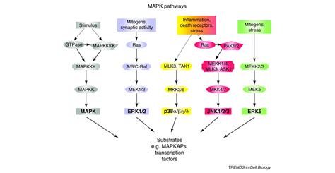 Download The Fokker Planck Equation Methods Of Solution And Applications