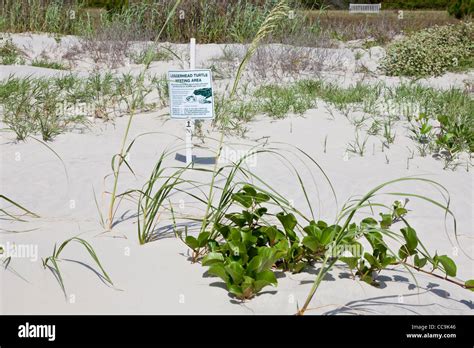 Turtle Nesting Warning Sign Hi Res Stock Photography And Images Alamy