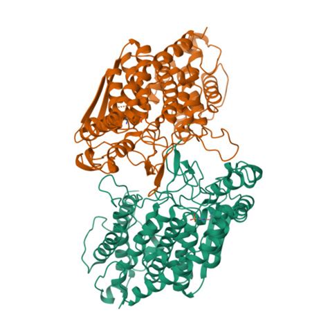 Rcsb Pdb 8cxl Structure Of Naph3 A Vanadium Dependent