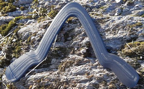 3d Printed Symmetric Kinked Boomerang • Made With Ratrig V Core 2 0・cults