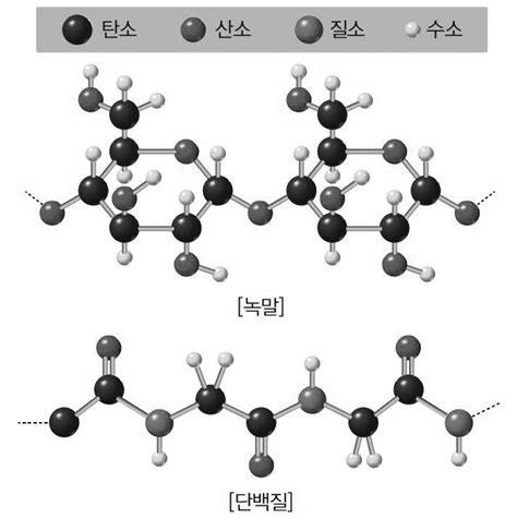 미래엔 엠티처