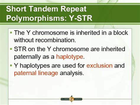 Chapter 11 Dna Polymorphisms And Human Identification
