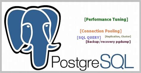 Be Postgresql Dba To Install Optimize Replicate Cluster Backup Pgpooling By Fahadorcl Fiverr