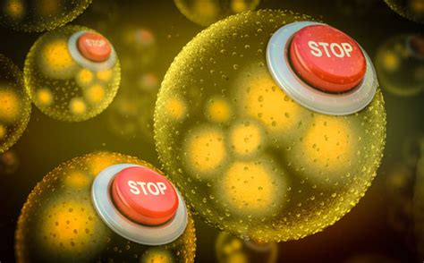 Scientists Develop “kill Switches” For Engineered Bacteria