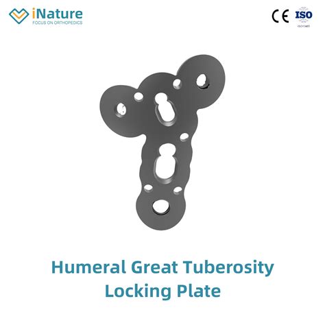 Humerus Fracture Humeral Great Tuberosity Locking Plate China