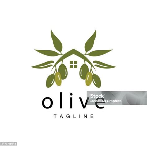 올리브 로고 올리브 오일 식물 벡터 자연 허브 건강 의학 디자인 그림 템플릿 아이콘 개념과 주제에 대한 스톡 벡터 아트 및 기타 이미지 개념과 주제 건강관리와 의술