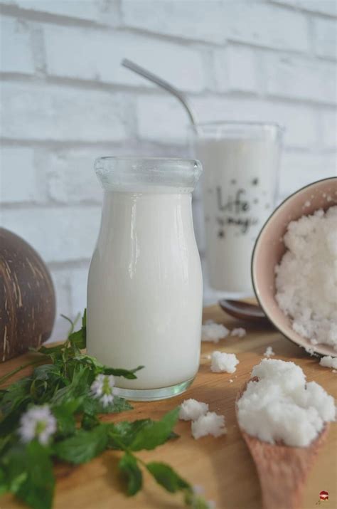 Lapte De Cocos Homemade Icooking Pentru Bucatarii De Acasa