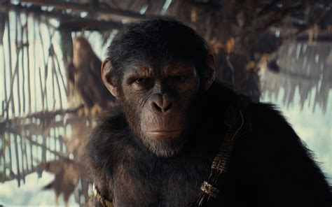 El Reino Del Planeta De Los Simios Honra El Legado De César Sin