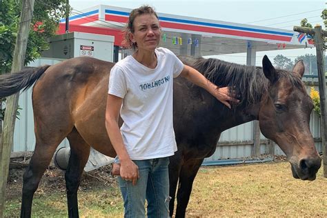 Doody Daniel Abc News