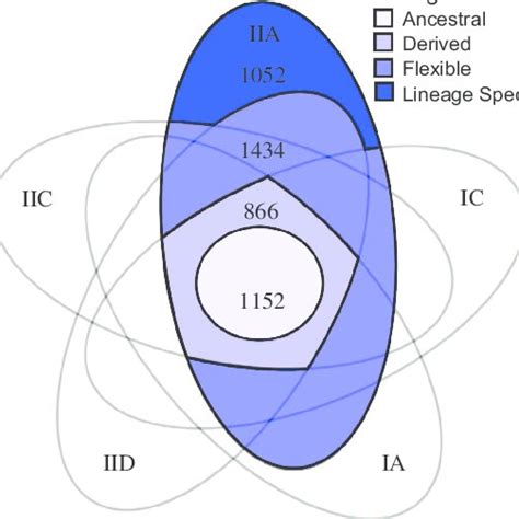 Five Way Venn Diagram Depicting The Number Of Ancestral Derived