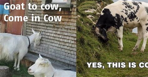 Theyre Theyre Getting Smarter I Wonder What Theyre Plotting Imgur Theyre Theyre Getting Smarter I Wonder What Theyre Plotting Imgur