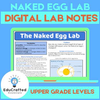 The Naked Egg Chemical Reaction Digital Lab Sheet Google Slide