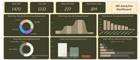 Hr Analytics Dashboard مستقل