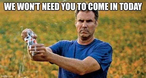 Will Ferrell Beer Meme Funny Memes You Funny Memes