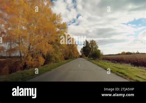 Road Through Forest Tunnel Trees Stock Videos Footage HD And 4K Video Clips Alamy