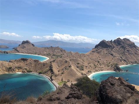 Save Komodo Tour Labuan Bajo 2022 All You Need To Know Before You
