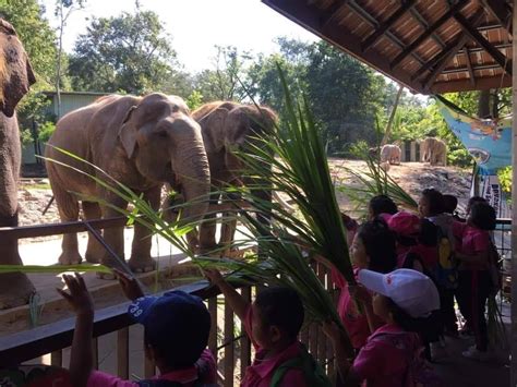 📢วันที่ 20 พ ย 62 โรงเรียนวัดบางพลีใหญ่กลาง Facebook