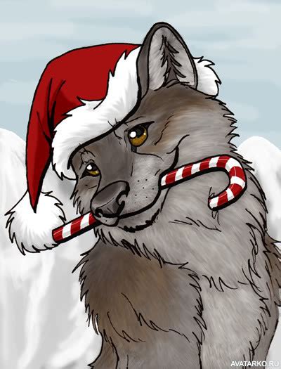 Волк в красной новогодней шапке с конфетой во рту — Картинки для аватарки