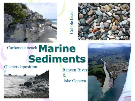 Ppt Marine Sediments Powerpoint Presentation Free Download Id4654452