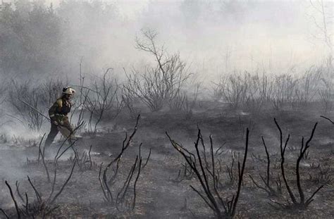La mejora y protección de los montes gallegos aún más necesarias tras los incendios
