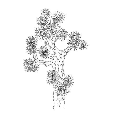 Premium Vector Vector Illustration Joshua Tree Plant Hand Line
